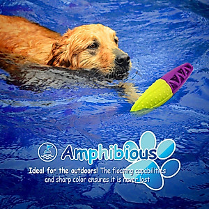 Fluffy Paws – Stick-Shaped Dog Squeaky Toy for Small-Medium Puppy & Dogs | Dental Dog Treat Chew Toy Helps Massage Dogs Gums, Good for Aggressive Chewers | Green/Purple