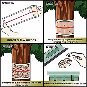 W4W, Spotted Lantern Fly Tree Trap - 4 Rolls (30 Feet Each Roll) - Lanternfly Tree Tape Creates a Sticky Barrier Protecting Trees from Harmful Insects - Non-Toxic
