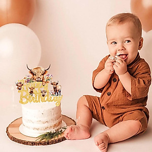 Highland Cow Birthday Cake Topper Gold Glitter Highland Cow Birthday Party Decorations Brown Cow Cake Topper Highland Cow Birthday Cake Decorations for Western Highland Cow Baby Shower Supplies