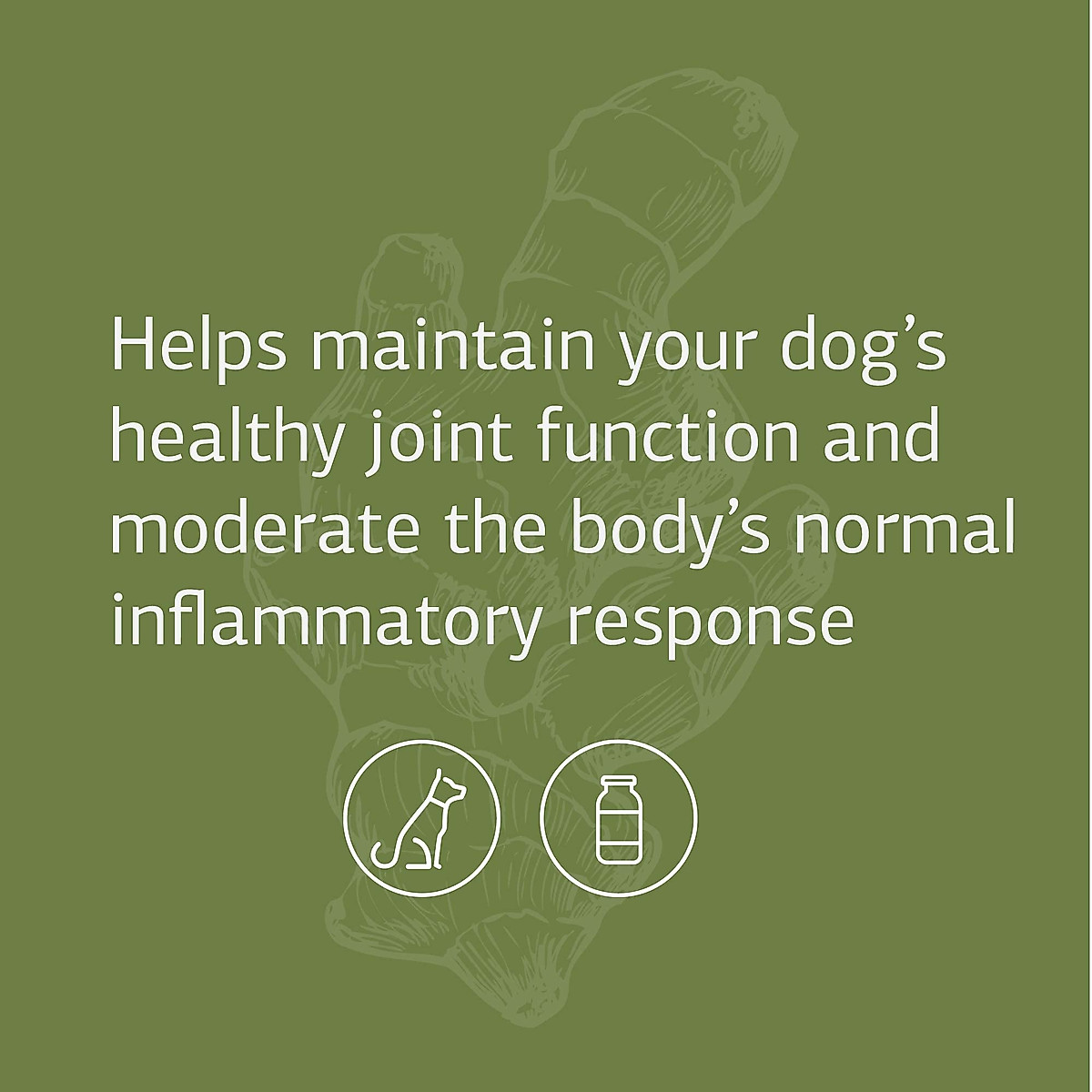 Standard Process Canine Flex Support - Joint & Immune Health Support Supplement for Dogs - Chewable Wafers for Healthy Joint Function Support - Nutritional Whole Food Supplement - 100 wafers