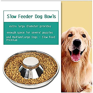 Puppy Bowls 2 Puppy Dish Dog Bowl Puppy Weaning Puppy Feeder Bowl Puppy Supplies