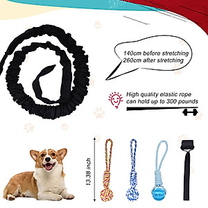 LovelyPaws Spring Pole Dog Rope Toys, Dog Interactive Hanging Tree Tug Toy Indoor and Outdoor with 3 Chew Toys for Dogs