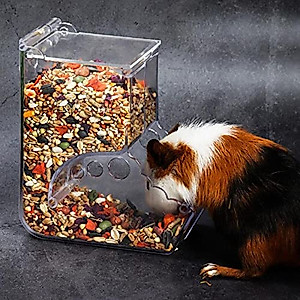 Lucky Interests 2 pcs Hamster Automatic Feeder 400ml, Hamster Food Dispenser with Brackets Small Animals Food Bowl for Dwarf Hamster Guinea Pig Chinchilla Gerbil Bird Hedgehog Ferret with 2 Spoon