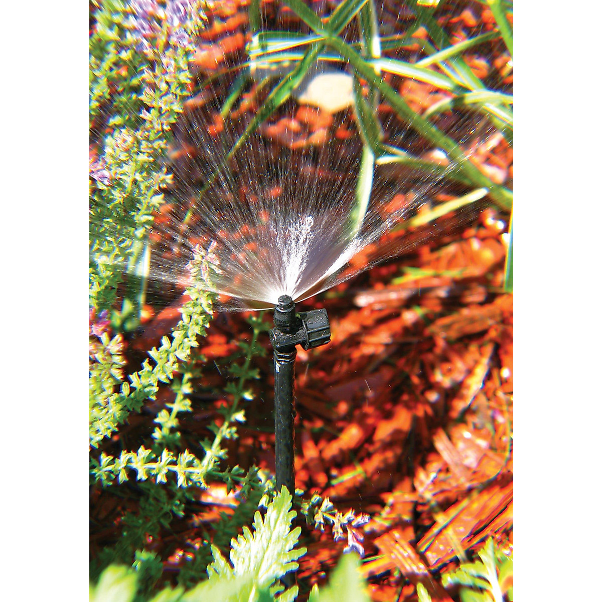 Rain Bird MSH2PKS Drip Irrigation 10-32 Threaded Micro-Spray Nozzle, 180° Half Circle Pattern, 0 - 10' Spray Distance, 2-Pack