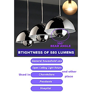 Half Chrome Light Bulb Dimmable LED Filament Vintage Bulb with Mirror 6W (60W Equivalent) G80/G25 E26 Medium Base Warm White 2700K