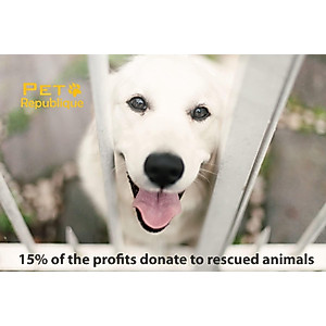 Pet Republique Extra Small Breed Toothbrushe Kit for Dogs & Cats– 1/4” Pointed Brush, 1/4” Flat Brush, 3/8” Regular Brush (3-Piece Kit) - Works on Yorkie, Chihuahua, Pomeranian, and Miniature Breeds