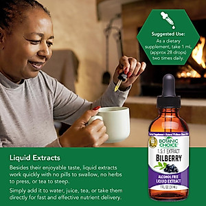Botanic Choice Bilberry Alcohol Free Liquid Extract, 1 Fluid Ounce