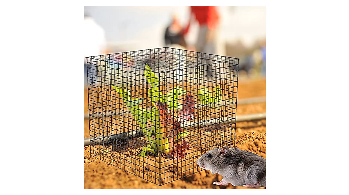 Protect Your Garden: 5 Pack Wire Plant Cages