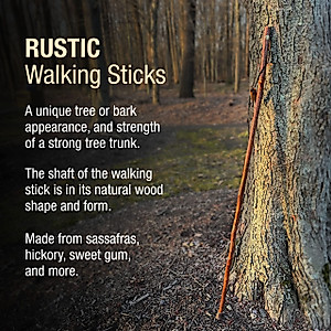 Brazos Rustic Wood Walking Stick, Sassafras, Traditional Style Handle, for Men & Women, Made in the USA, 55"