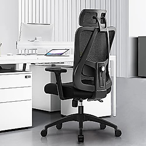 Primy Ergonomic Office Chair,High Back Desk Chair with Adjustable Headrest with 2D Arms,Lumbar Support and PU Wheels,Big and Tall Office Chair for Home and Office,Tilt Function Computer Chair (18-H)