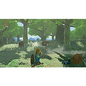 The Legend of Zelda: Breath of the Wild (Non-US Version)