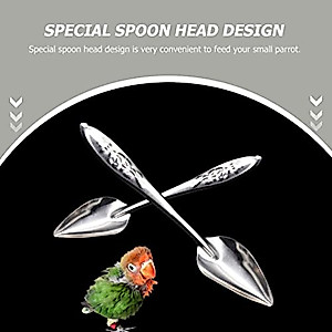 Hemoton 4.7inch Bird Stainless Steel Feeding Spoon, 6Pcs Special Bird Feeding Scoop Spoons, Hand Feeding Spoons for Peony Cockatiel Parrot