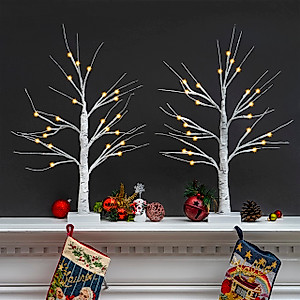 Easter Tree Lighted Birch Tree with Led Lights | USB/Battery Operated | Easter Egg Tree Tabletop Decorations, 2FT 24 LEDs Warm White Lighted Trees for Decoration Inside 2Pk