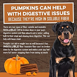 BRUTUS & BARNABY USA Sweet Potato Dog Treats - Grain Free, Pumpkin Bacon Crunchy Sticks - Great Tasting, Promotes Positive Dog Gut Health with Natural Anti-Diarrhea Properties, No Preservatives Added