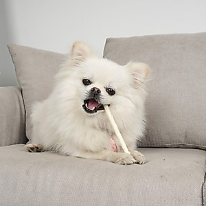 MON2SUN Dog Rawhide Twist Sticks Natural 5 Inch Thin Sticks Rawhide Chews Dog Treats for Puppy and Small Dogs 60 Count, 12.7oz