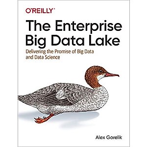 The Enterprise Big Data Lake: Delivering the Promise of Big Data and Data Science