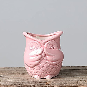 YONGYAN Owl Flower Pot Statue Decoration Ceramics Garden Planters Containers Pot Bookshelf Office Desktop Decor (Pink)