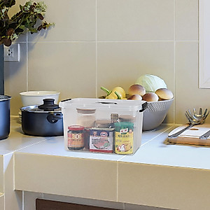 Fabnati 10 L Clear Plastic Storage Bin with Handle, Latching Storage Box Bin with Lid, 1 Packs