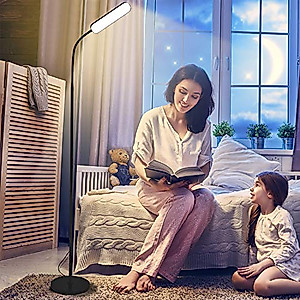 Wio-Mio Led Floor Lamp with 4 Color Temperature and Stepless Dimmer, Remote and Touch Control Floor Lamp, Adjustable Gooseneck Standing Lamp for Living Room