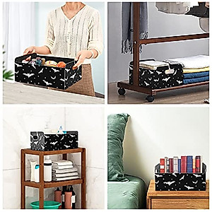 CaTaKu Bats Foldable Storage Basket Star Black Collapsible Felt Storage Bins with Handle Drawer Organizer Bin Cube Shelf Box for Organizing Closet Clothes Office Books Bedroom