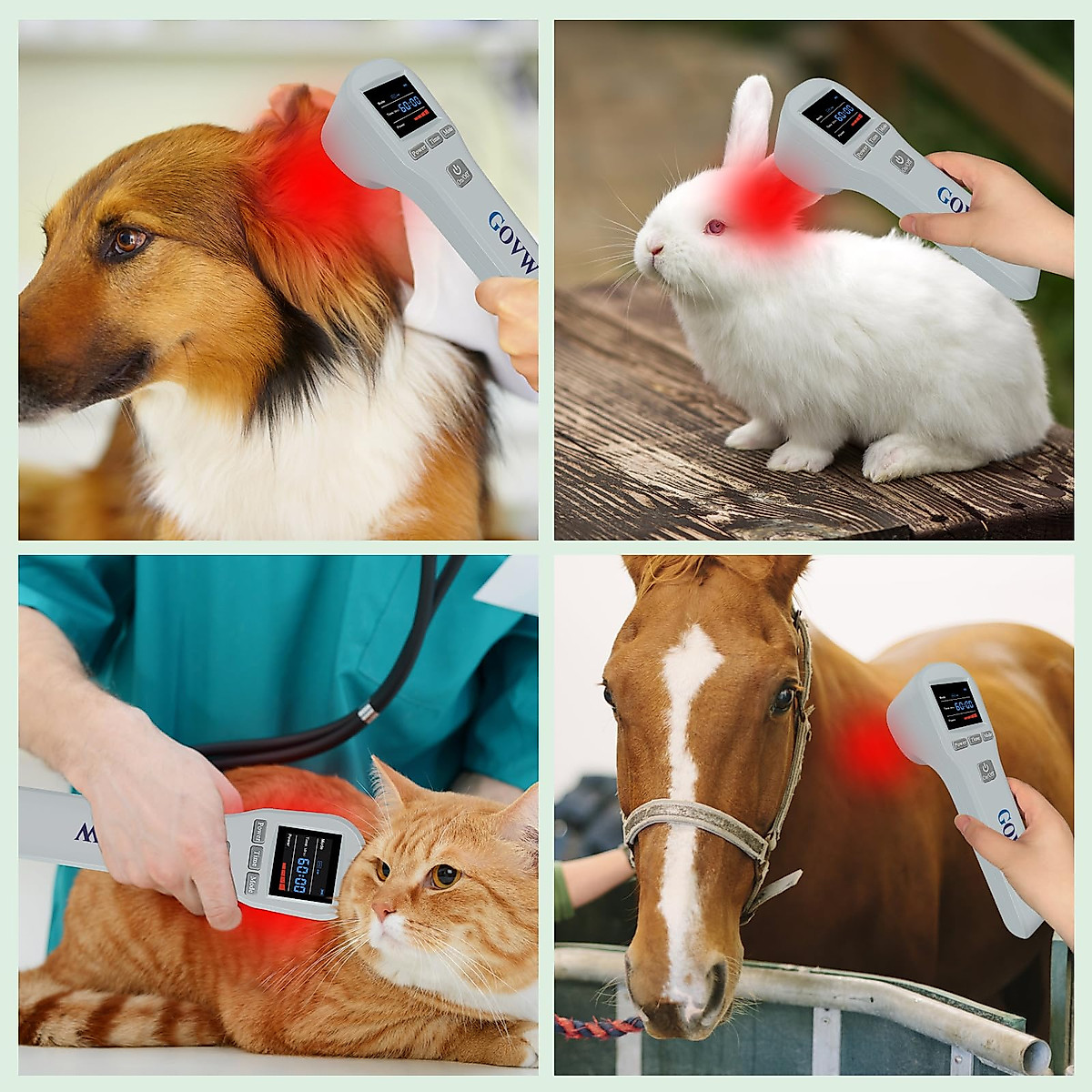 GOVW Laser Therapy for Dogs, 4x808nm+16x650nm, Cold Laser Therapy Device for Dogs Professional, Veterinary Laser Therapy Machine, Cold Laser Therapy Device for Horses, Laser Treatment for Animals