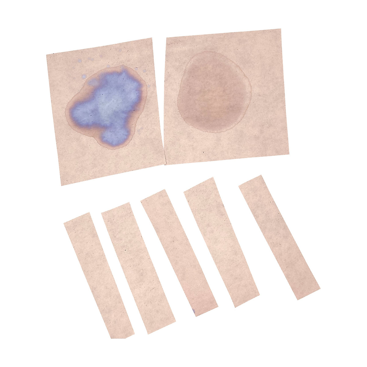 Red Litmus Test Paper 8x10 Inch Sheet [Pack of 24]