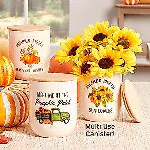 Harvest Canisters with Bamboo Lids - Pumpkin Patch