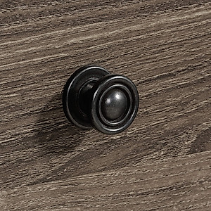 Sauder Miscellaneous Storage cabinet, L: 29.69" x W: 16.34" x H: 71.10 ", Glacier Oak