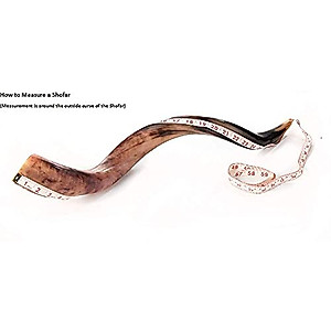 Shofar from Israel Polish Polished Silver Plated Set Kudu Horn Yemenite Lion Of Judah + Bag + Spray + Guide + Carrying Box Case (30"-32")
