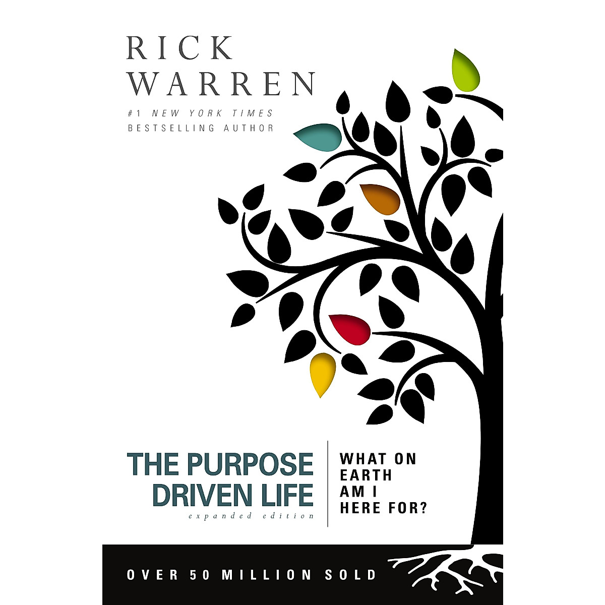 The Purpose Driven Life: What on Earth Am I Here For?