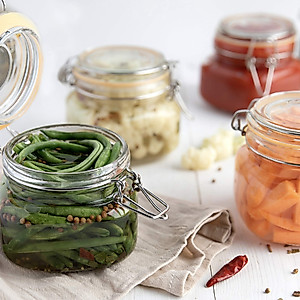 Glass Jars with Airtight Lid | Glass Airtight Food Storage Containers | Clear Leak Proof Rubber Gasket and Clamp Lid [Set of 4-17 oz]