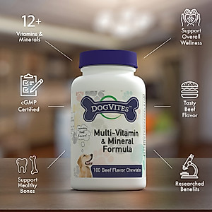 Health Thru Nutrition Dog-Vites Multivitamins for Dogs, Beef-Flavored Chewable Tablets (Pack of 100)