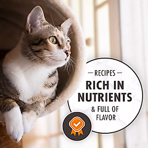 NUTRO WHOLESOME ESSENTIALS Natural Dry Cat Food, Sensitive Cat Chicken, Rice & Peas Recipe Cat Kibble, 5 lb. Bag