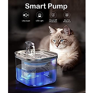 PETCADO Cat Water Fountain with Stainless Steel Lid, 67oz/2L Ultra-Quiet Cat Fountain with LED Light, Activated Carbon Filter, BPA-Free Automatic Pet Water Dispenser for Cats and Small Dogs