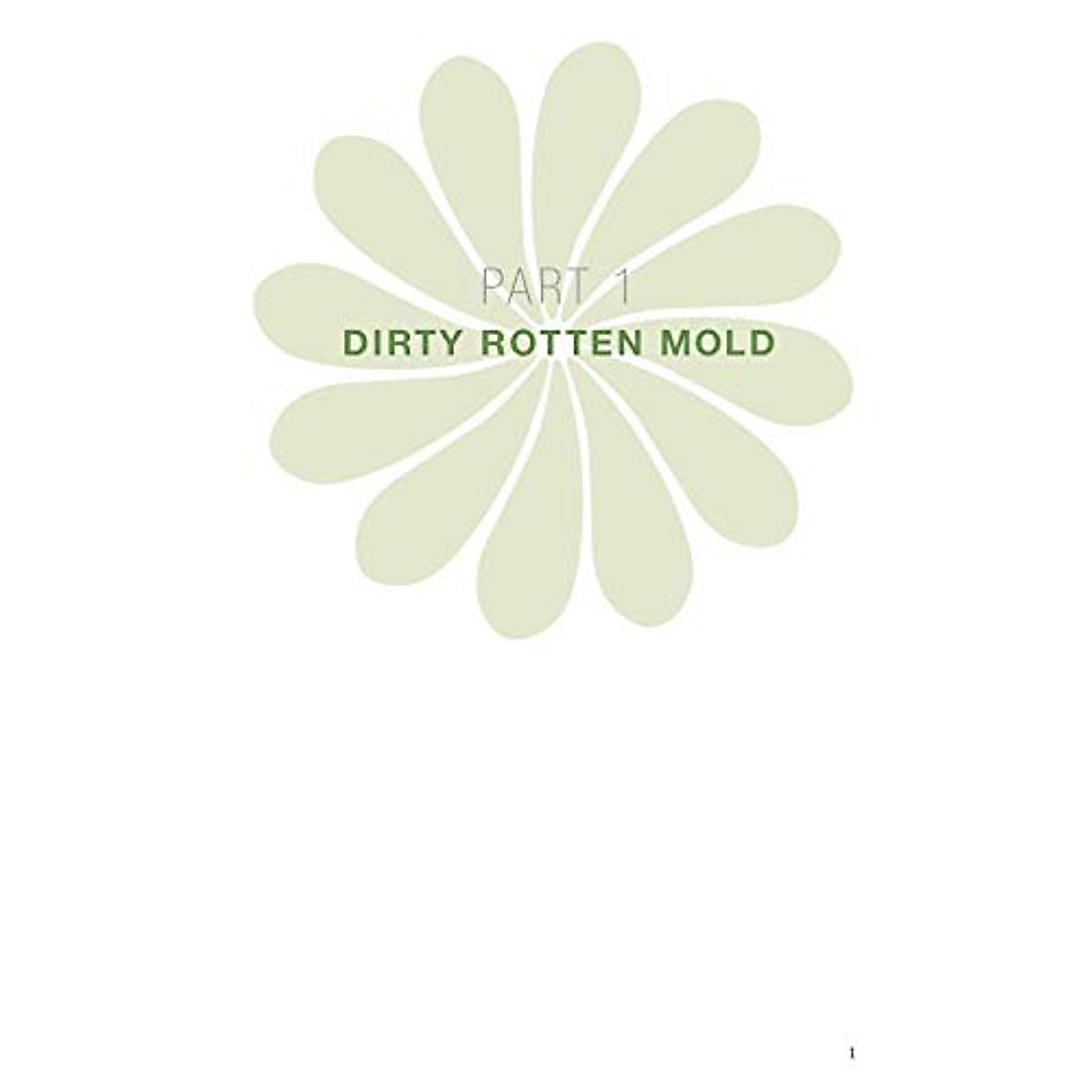 Break the Mold: 5 Tools to Conquer Mold and Take Back Your Health