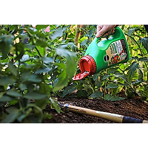 2.04kg Shake n Feed Flowering Fruits and Vegetables Plant Fertilizer