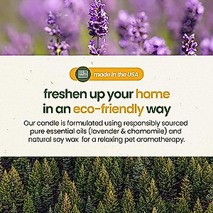 Gerrard Larriett - Deodorizing Soy Candles for Pets, Scented Candles for Removing Pet/Household Odors, Lasts up to 40 Hours, White Candles for Home Scented with De-Stress Lavender & Chamomile Fragrance, 10 oz