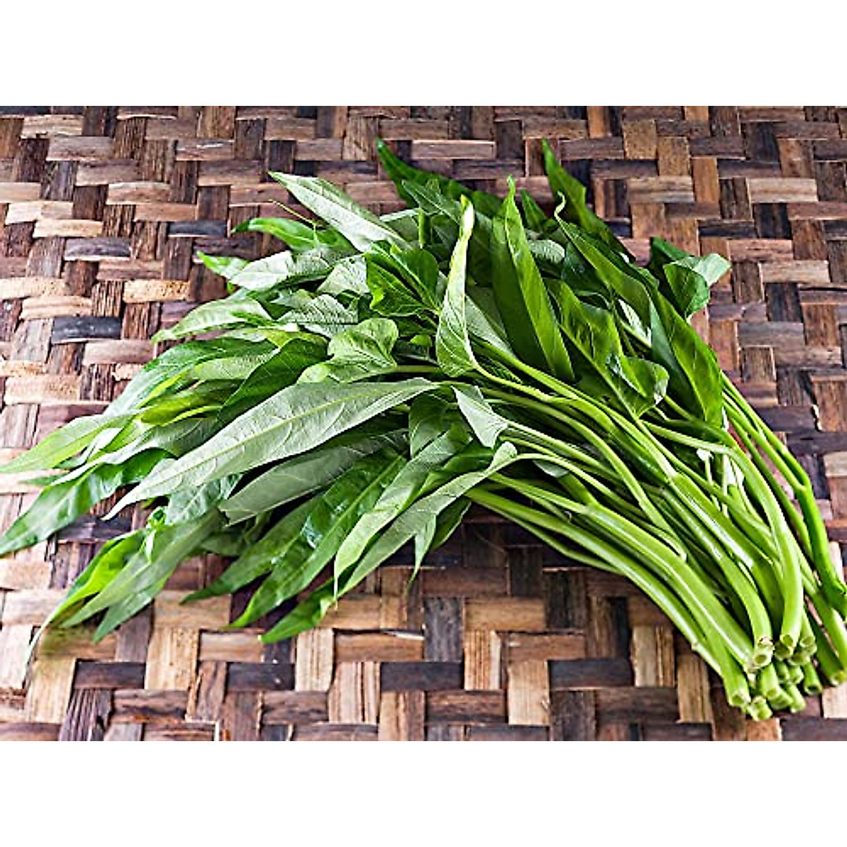 Gaea's Blessing Seeds - Ong Choy Seeds - Kong Xin CAI Kangkong - Non-GMO Seeds with Easy to Follow Planting Instructions 94% Germ Rate (Pack of 1)