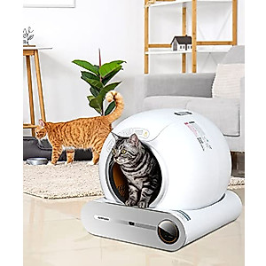 Self-Cleaning Cat Litter Box, Automatic Cat Litter Box PETCADO 24H for No Scooping with APP Control, Odor Removal, Safe Lock, Litter Mat, Quiet for Multiple Cats and All Kinds of Clumping Cat Litter