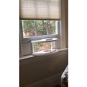 Clearview Window Bird Feeder by Paradise Birdhouses