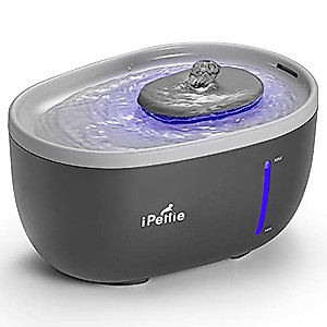 iPettie Avocado Pet Water Fountain with LED Light, 67oz/2.0L, Ultra Quiet Cat Water Fountain with Filter, Automatic Pet Water Fountain for Cats and Small Dogs, Grey