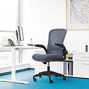 Devoko Office Desk Chair Ergonomic Mesh Chair Lumbar Support with Flip Up Arms and Adjustable Height (Grey)