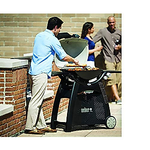 Uniflasy 7646 Cooking Grates for Weber Q300 Q320 Q3000 Q3200 Series Gas Grills Grill Parts Cast Iron Grill Grates Replacement for Weber Q300 2 Pack