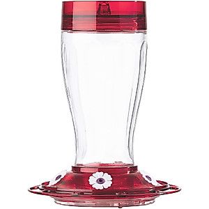 More Birds Bird Health+ Big Gulp Hummingbird Feeder, Glass Hummingbird Feeders for Outdoors, 5 Feeding Stations, 40 Ounces