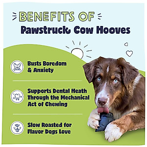 Pawstruck Natural Cow Hooves for Dogs - Made in The USA Long Lasting Beef Hoof Dental Treat Chews - No Artificial Preservatives - 25 Count - Packaging May Vary