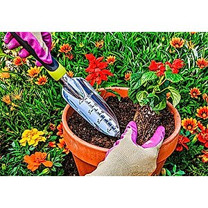Edward Tools Transplanter Trowel - Bend Proof and Rust Proof Aluminum - Most Comfortable Transplanter with Ergo Handle - Engraved Depth Guide