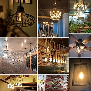 winsaLED 12 Pack LED Edison Bulbs 40 Watts Equivalent, 4 Watt LED Vintage Light Bulb, 2700K Soft White ST19 Light Bulb, 350LM E26 Base for Light Fixtures