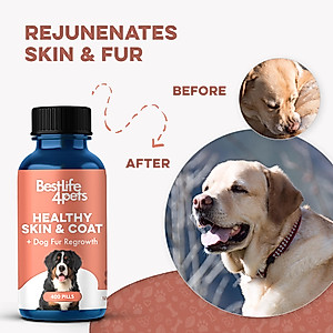 Natural Skin & Coat Supplement for Dogs, Large and Small - Dog Anti Itch Relief for Dry Skin, Rash, Allergy or Irritation - Reduces Shedding, Dandruff and Supports Dog Hair Growth - 400 Small Pills