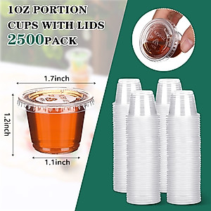 Bokon 2500 Sets Clear Plastic Portion Cups With Lids Condiment and Dipping Sauce Container Salad Dressing Container Airtight and Stackable Souffle Cups for Lunch, Party, Trips(1 oz)