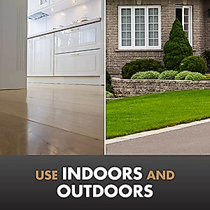 Spectracide Terminate Termite and Carpenter Ant Killer 1.33 Gallons, 4 count